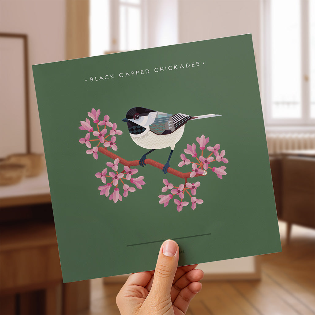 Black-capped Chickadee – Small Box Market