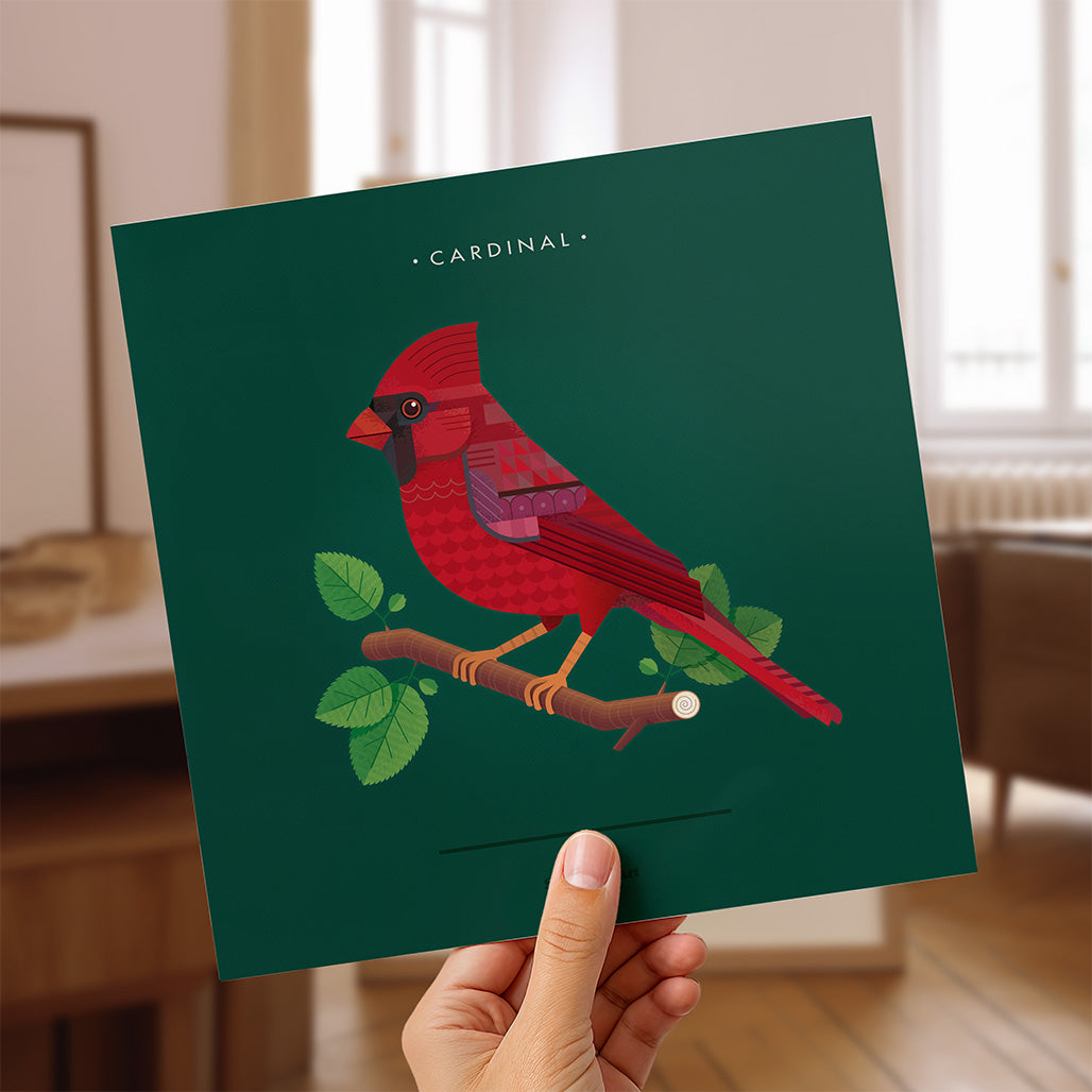 Cardinal - Male – Small Box Market